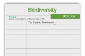 How to make effective revision notes using The Cornell method